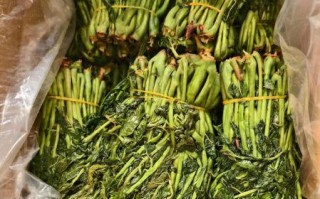 香椿怎么腌制_香椿腌制能放多久 香椿怎么腌制_香椿腌制能放多久