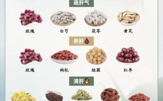 养肝护肝茶饮有哪些_怎么喝效果最好