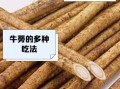 牛蒡多少钱一斤_新鲜牛蒡价格行情