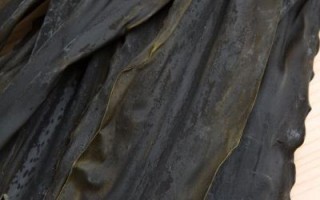 大片干海带怎么做好吃_干海带泡发多久合适