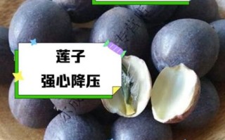 鲜莲子怎么吃_鲜莲子食用禁忌有哪些