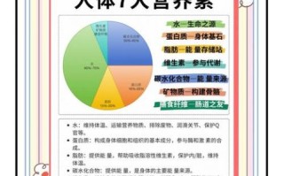 七大营养素有哪些_如何科学搭配日常饮食