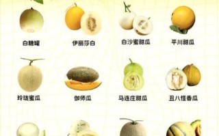 伊丽莎白瓜皮能吃吗_伊丽莎白瓜皮怎么吃