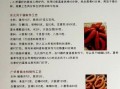 风干肠怎么做_风干肠配方比例