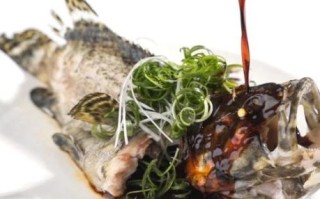 老虎斑鱼怎么清蒸_老虎斑鱼清蒸几分钟