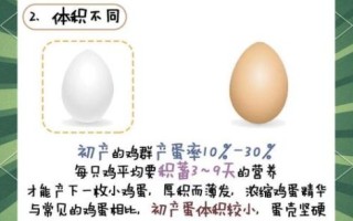 鸡蛋的营养价值及功效与作用_吃鸡蛋每天几个最好