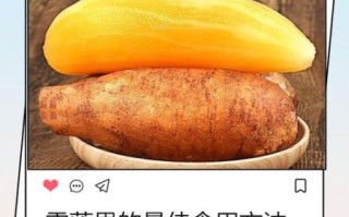 野生雪莲花怎么吃_野生雪莲花正确吃法