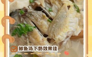 下奶鲫鱼汤的做法_月子餐怎么做