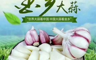 金乡大蒜论坛最新价格_金乡大蒜论坛怎么注册