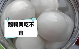 鹅蛋和什么不能一起吃_鹅蛋相克食物有哪些