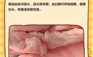 怎样炼猪油_猪油怎么保存