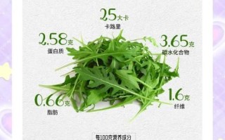 芝麻菜怎么吃_芝麻菜的做法大全