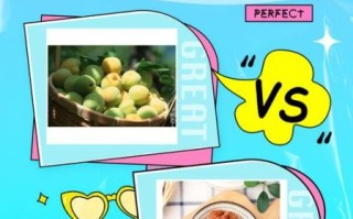 话梅是什么水果做的_话梅和青梅的区别