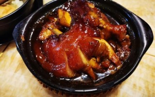 家炖肘子怎么做_肘子炖多久才软烂