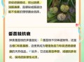 番荔枝怎么吃_番荔枝的功效与作用