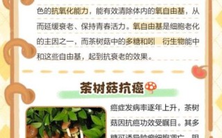 茶树菇的营养价值_茶树菇怎么吃最健康