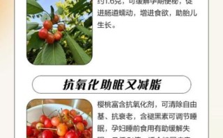 孕妇可以吃樱桃吗_孕妇吃樱桃的好处与禁忌