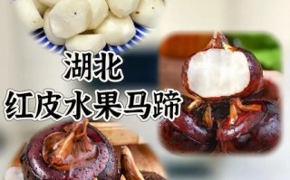马蹄水果怎么保存_马蹄水果可以生吃吗