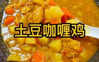 咖喱焖鸡怎么做_正宗咖喱焖鸡的做法
