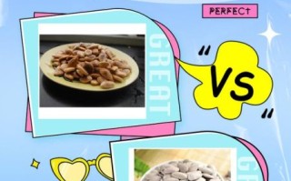 南瓜子的功效与作用_吃南瓜子有什么好处