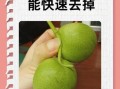 青核桃皮有毒吗_误食怎么办