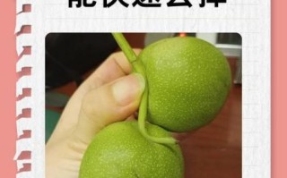 青核桃皮有毒吗_误食怎么办