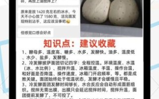 手工披萨怎么做_披萨面团发酵多久