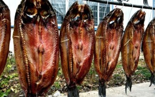 腊鱼怎么腌制_腊鱼腌制配方