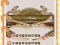 大闸蟹怎么保存_大闸蟹放冰箱能活几天