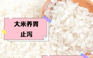 大米是凉性还是热性_大米寒凉体质能吃吗