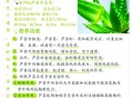 芦荟怎么吃_芦荟有什么功效