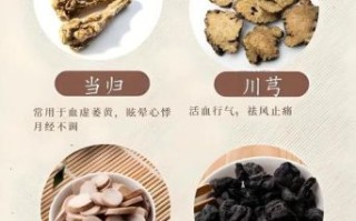 四物汤什么时候喝好_经期前后还是空腹