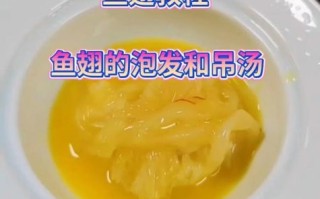 鱼翅怎么泡发_鱼翅怎么炖才好吃