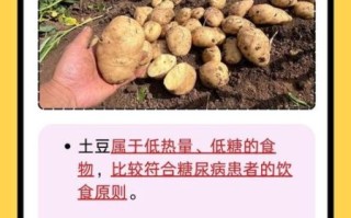 糖尿病能吃土豆吗_糖尿病人吃土豆的注意事项 糖尿病能吃土豆吗_糖尿病人吃土豆的注意事项