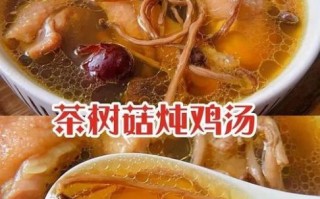 新鲜茶树菇鸡汤怎么炖好喝_茶树菇鸡汤炖多久才入味