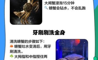 大闸蟹怎么洗_大闸蟹蒸之前怎么清洗