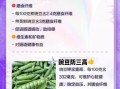 豌豆的营养价值_豌豆的食用功效
