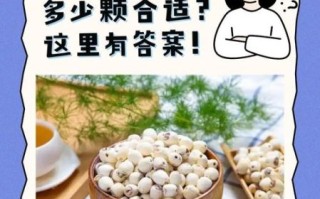 莲子怎么吃最养人_莲子一天吃多少合适