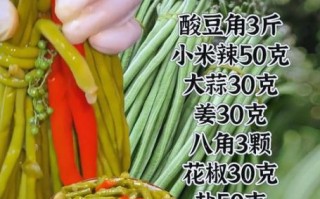 简易酸豆角的腌制方法_多久可以吃