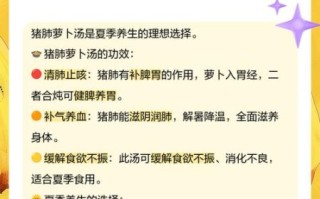 猪肺汤的功效与作用_猪肺汤适合什么人喝