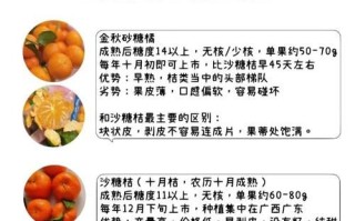 橘子怎么挑选_橘子保存多久