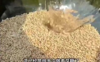 麦芽糖怎么做_麦芽糖的做法步骤