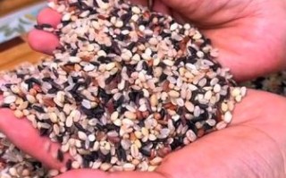 糙米养胃还是伤胃_糙米对胃的影响