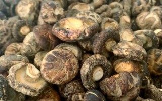 干香菇煮多久能熟_干香菇泡发后多久煮熟