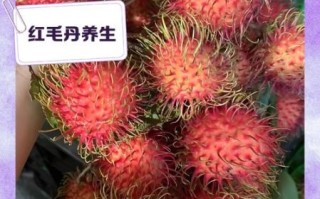 红毛丹的营养价值_红毛丹能减肥吗