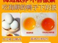 海鸭蛋是什么_海鸭蛋和普通鸭蛋区别