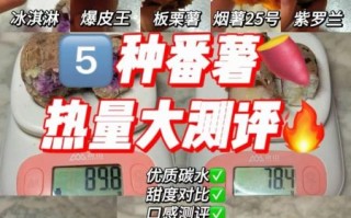 煮红薯的热量_减肥能吃吗