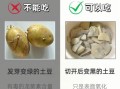 土豆发芽了把芽去掉还能吃吗_土豆长芽削掉后有毒吗