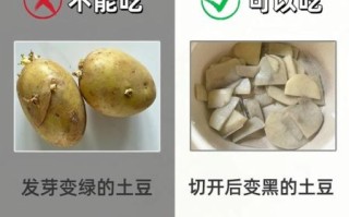 土豆发芽了把芽去掉还能吃吗_土豆长芽削掉后有毒吗