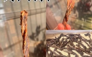 风干牛肉干怎么做_风干牛肉干保存多久